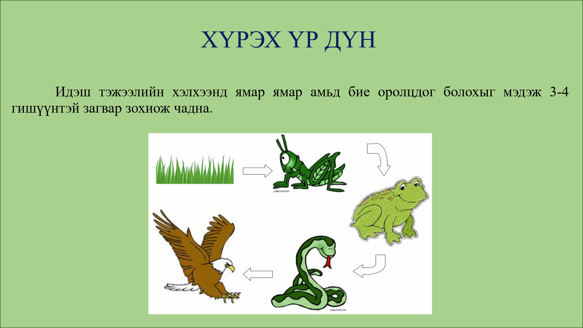 Мэдлээ Цахим контент